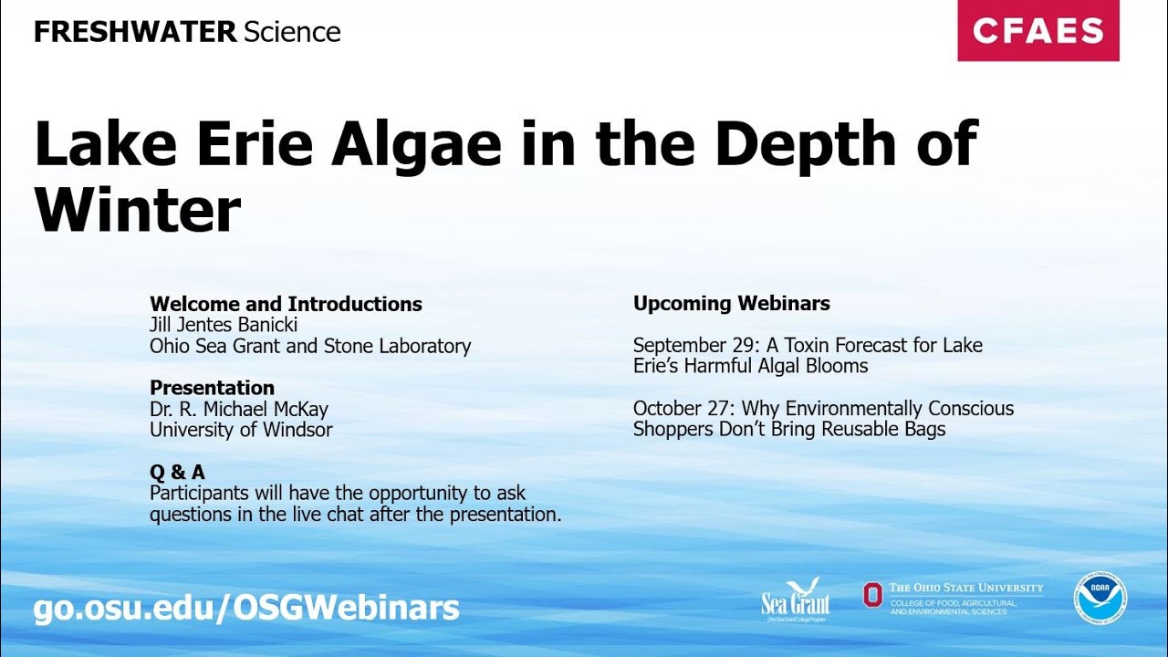 Freshwater Science: Lake Erie Algae in the Depth of Winter - YouTube