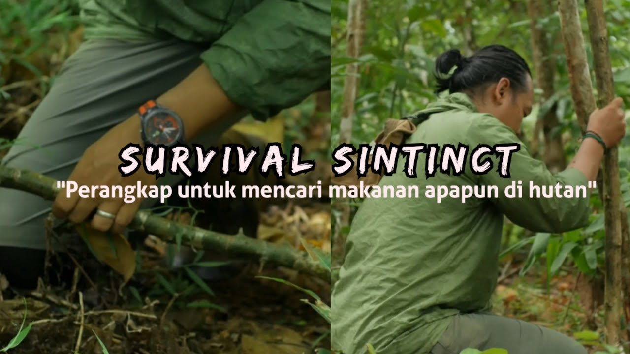 SURVIVAL SINTINCT , perangkap kocak mencari makanan apapun di hutan ...