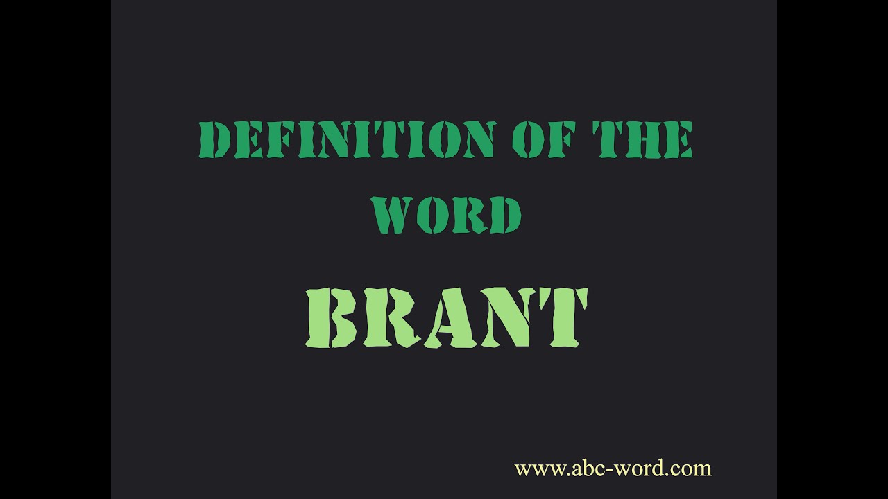 Definition of the word "Brant" - YouTube