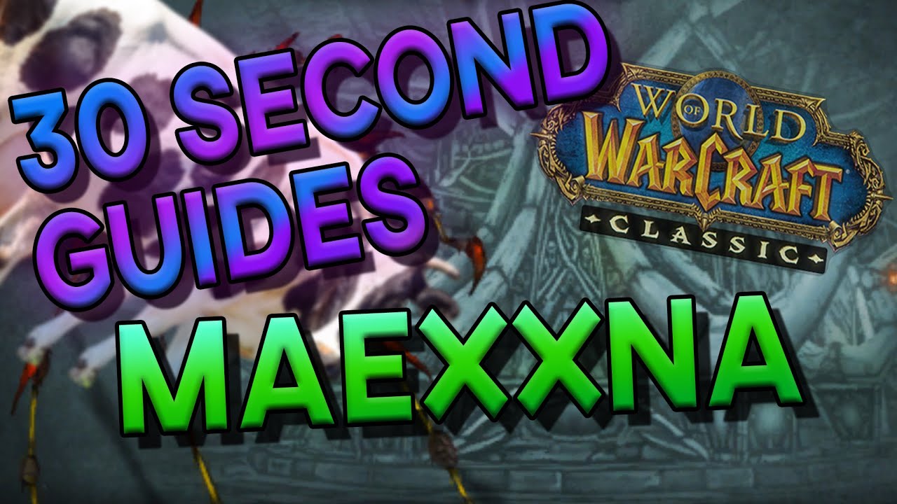 Maexxna - 30 Second Guides - Naxxramas - YouTube