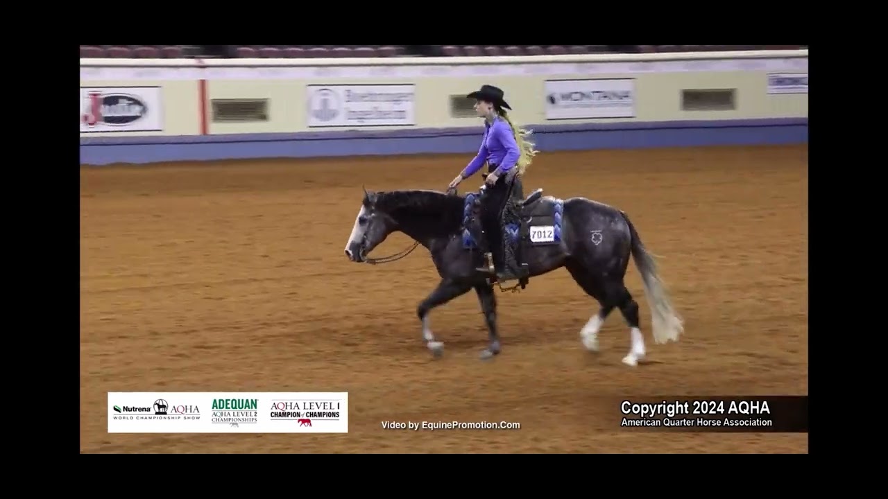 EverybodysTalkinAtMe and Shannon Quinlan Hill Jr Ranch Riding Finals ...