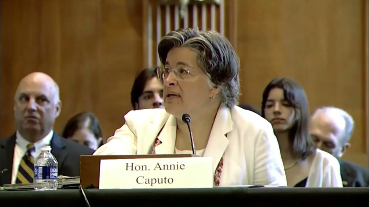 Annie Caputo on Fusion Regulation-- June 8, 2022 EPW Hearing - YouTube