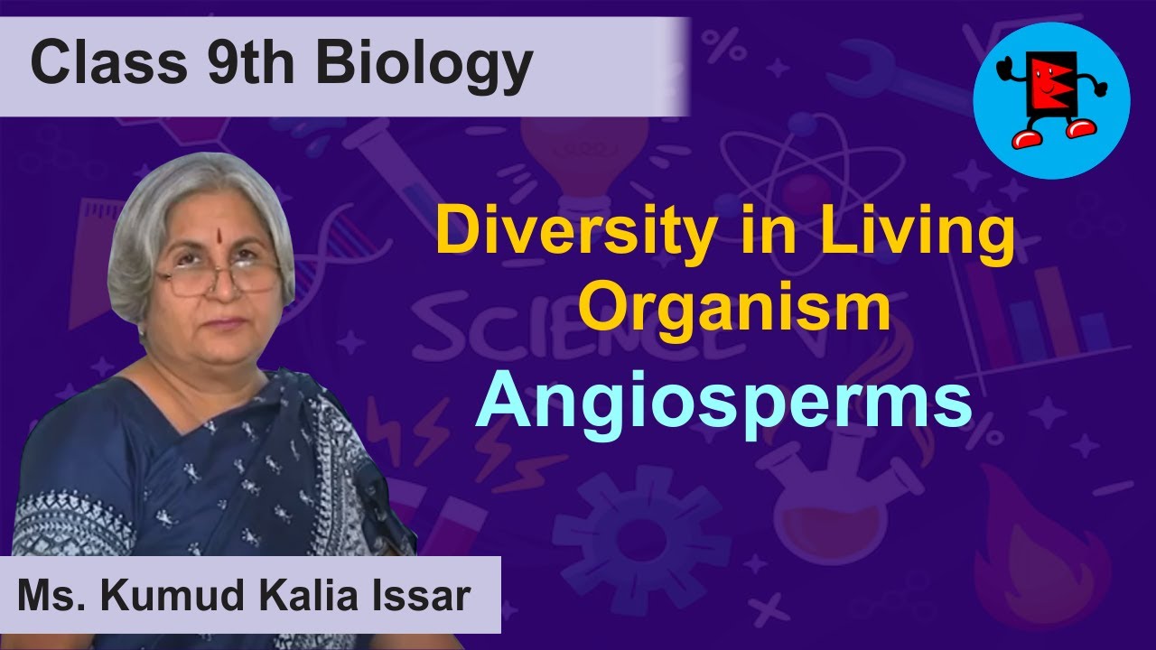 CBSE Class 9 Biology Diversity in Living Organism Angiosperms |Extraminds - YouTube