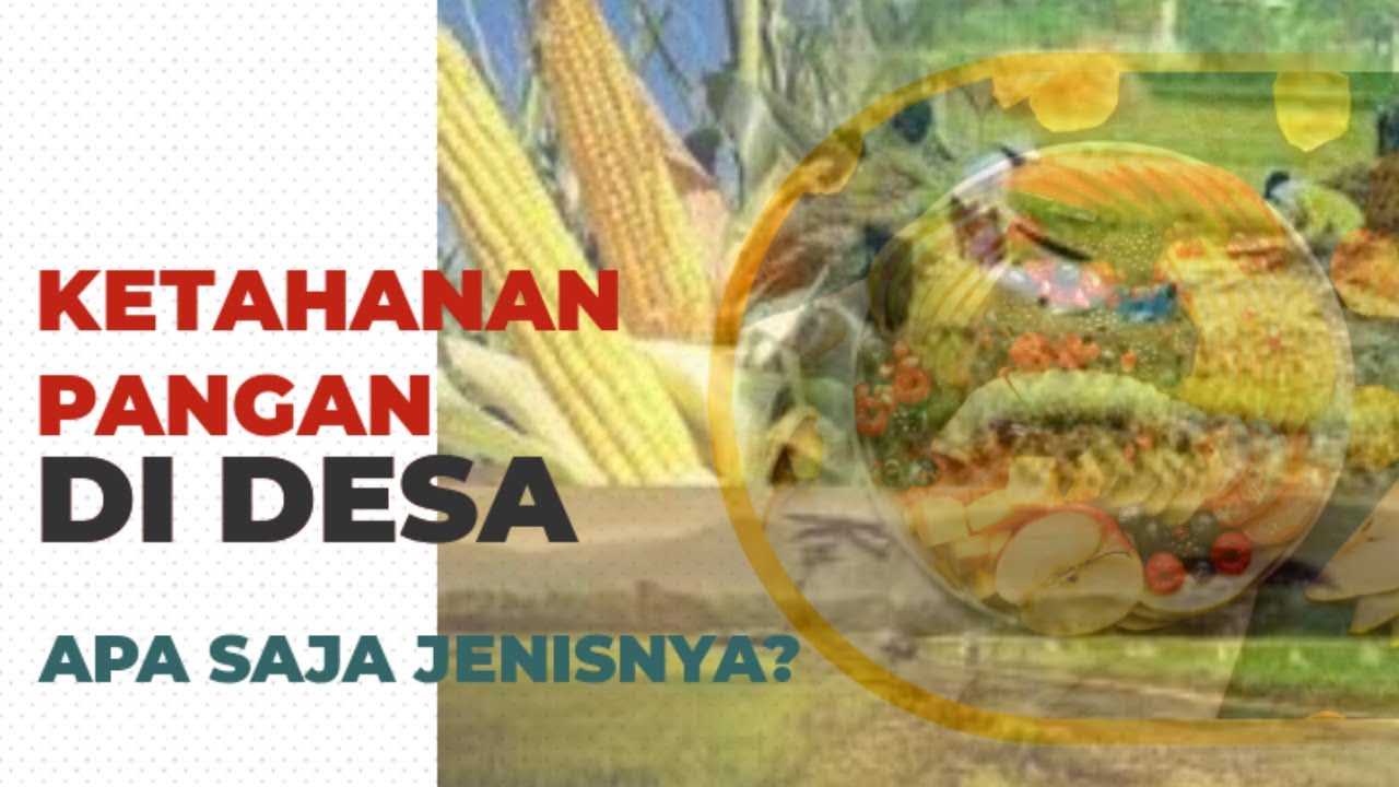 JENIS KEGIATAN KETAHANAN PANGAN DI DESA. APA SAJA...? - YouTube