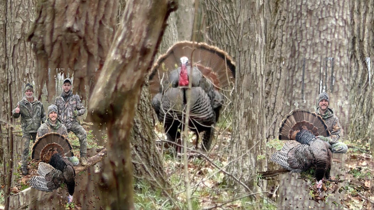 TURKEY HUNTING!! || TURKEY does an EPIC FLIP!!! - YouTube