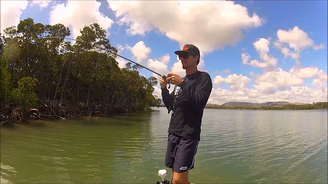Morning Barramundi and Jack Fishing in Townsville - Bass Mafia ...