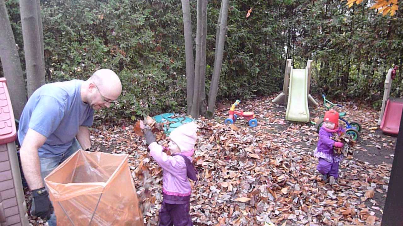 on ramasse des feuilles avec papa - YouTube
