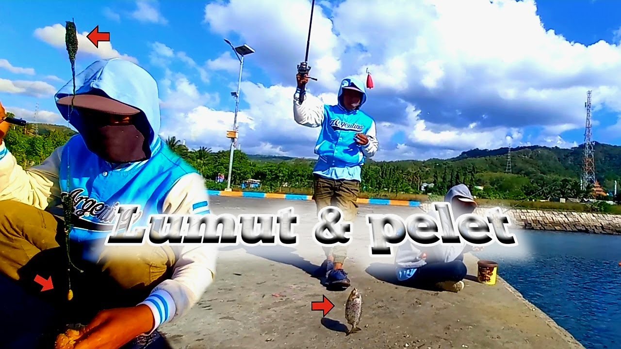 mancing ikan sadar lingkis /masadar /semadar /baronang - YouTube