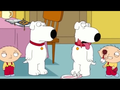 Family Guy - Retarded Stewie and Brian Clones