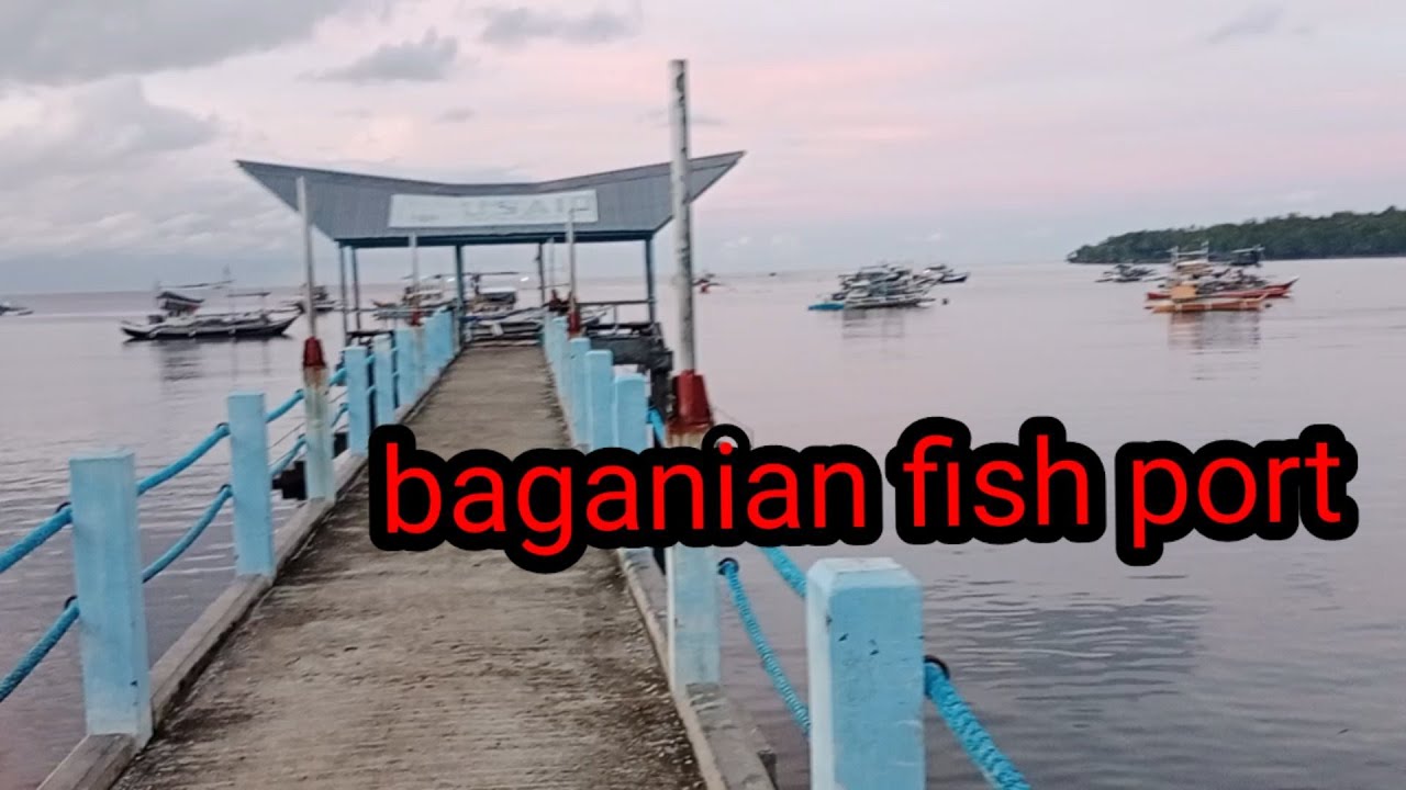 baganian tabina Zamboanga del sur.fish port - YouTube