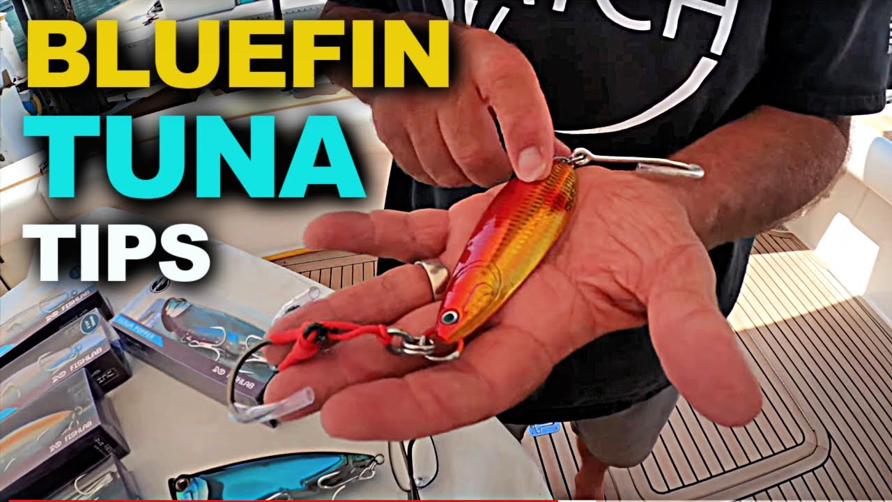 Bluefin Tuna Tips | How to Catch Tuna (Gear, Tackle & Techniques ...