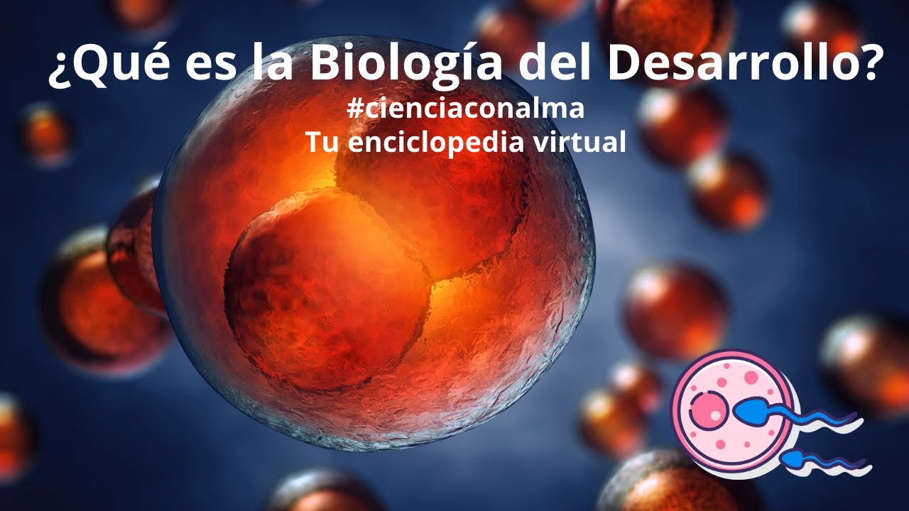 Biologia Del Desarrollo Biologia Del Desarrollo