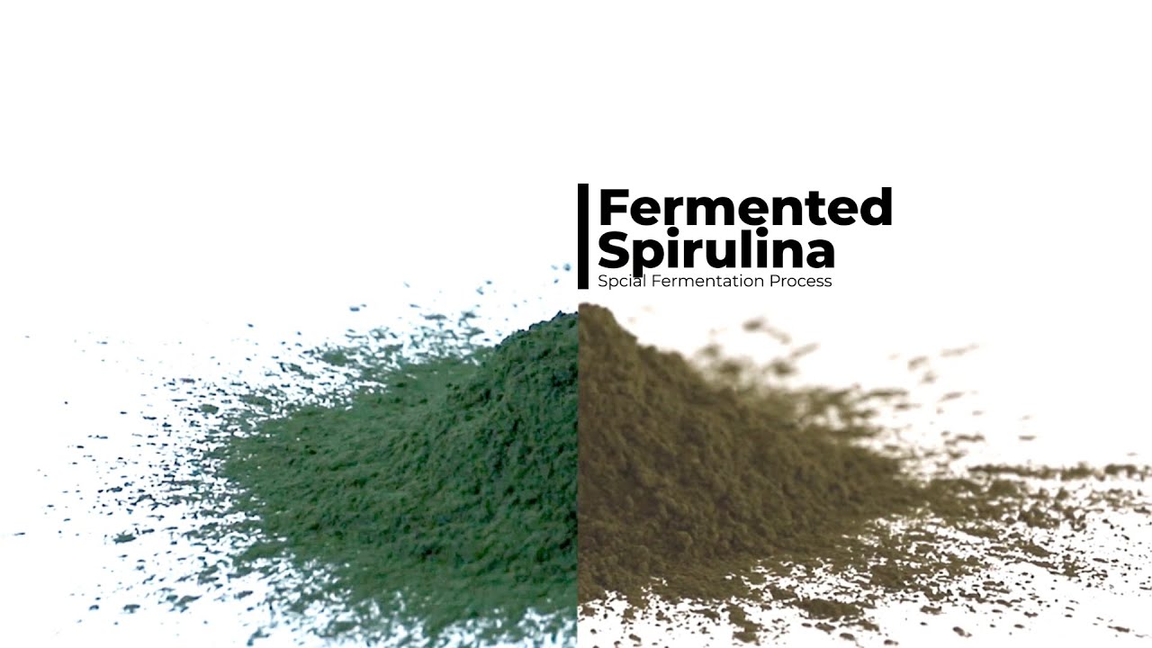 FERMENTED SPIRULINA - 발효 스피루리나 - YouTube