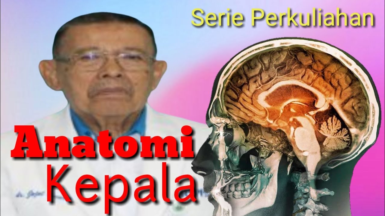 49. Anatomi Kepala (lengkap) - YouTube
