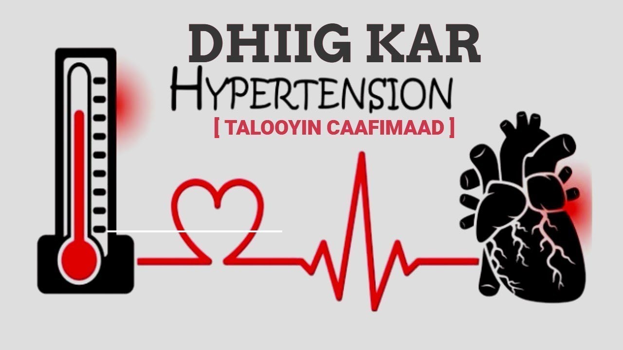 WAA MAXAY DHIIG KARKA | hypertension | TALOOYIN CAAFIMAAD - YouTube