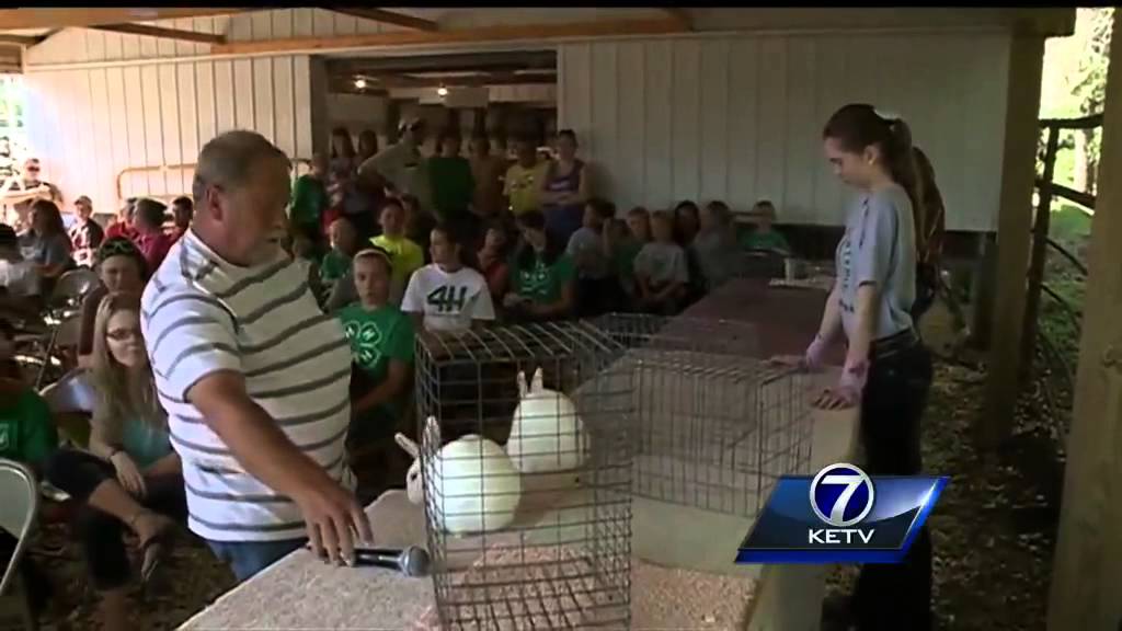 Sarpy County Fair open for business - YouTube