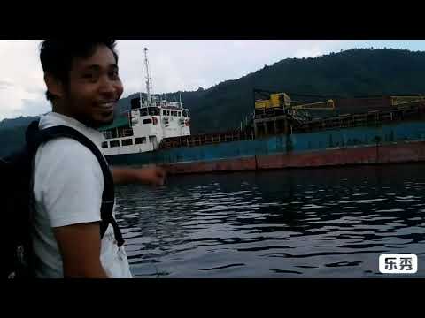 Hiu kucing satwa yg di lindungi. #Mancing Mania