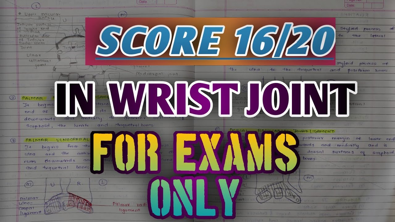 WRIST JOINT Notes || Anatomy Notes - YouTube