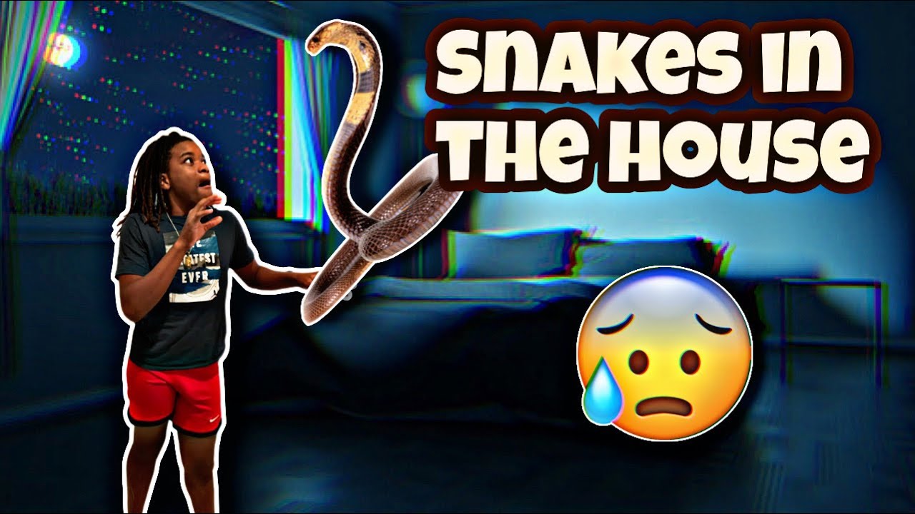 SNAKES IN THE HOUSE *PRANK* - This is Why You're Doomed! - YouTube