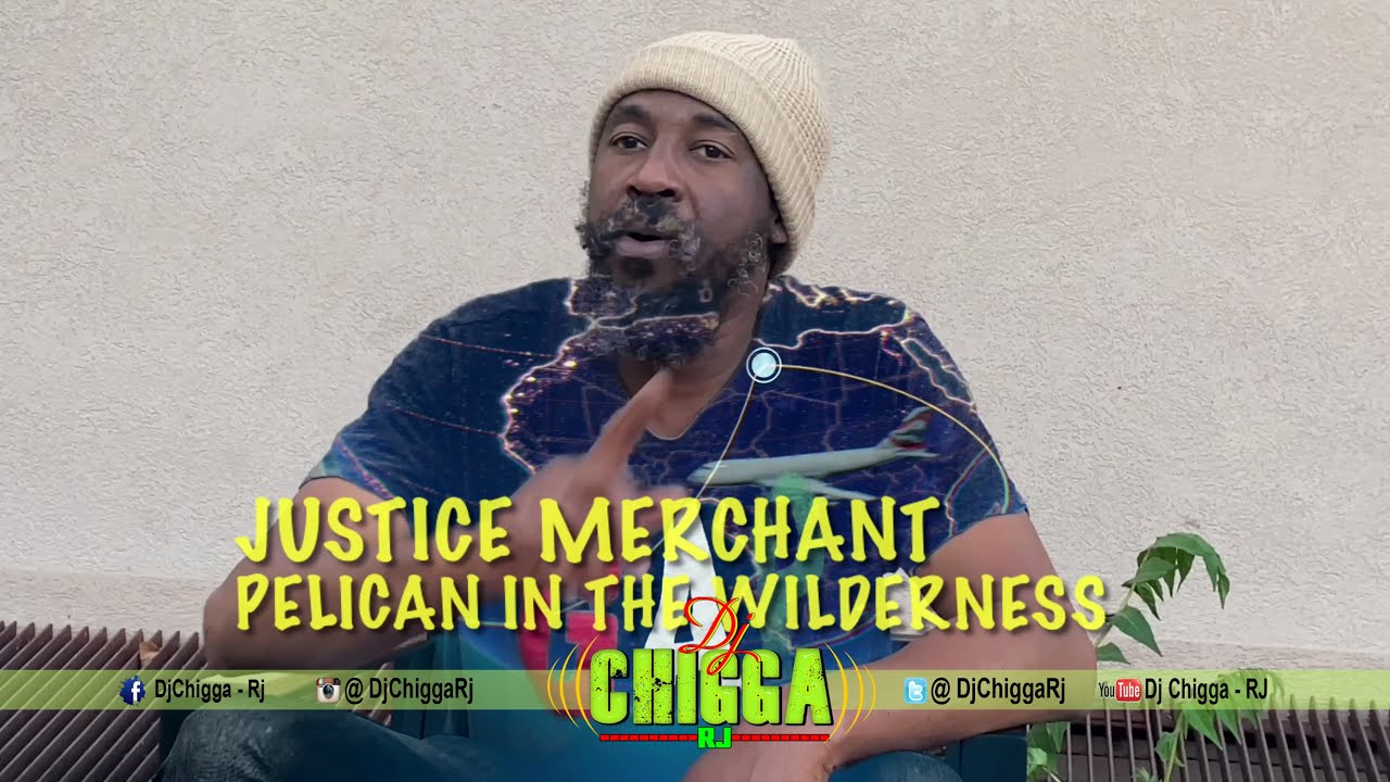 Justice Merchant - Pelican In The Wilderness (Official Video) - YouTube