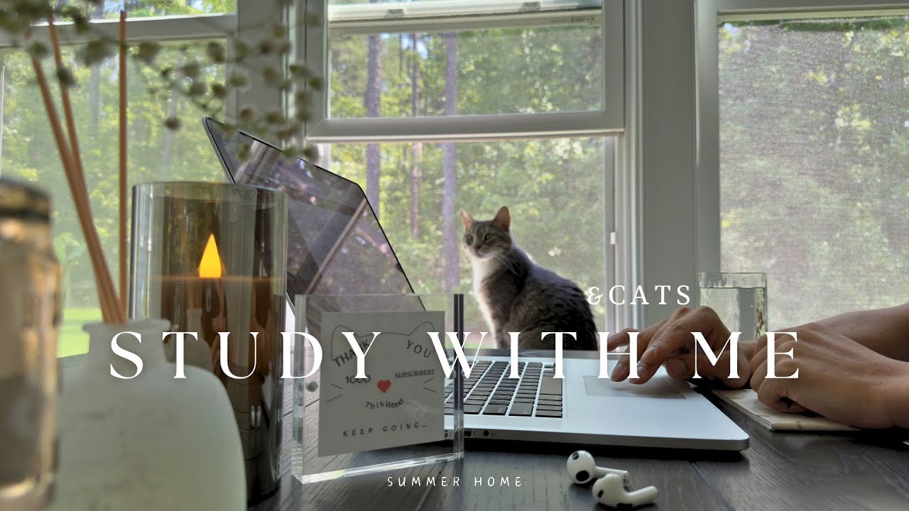 1-HOUR STUDY WITH ME & My Cats 🐈 / Summer Sound ☀️🍃 + Calm Piano / Cozy ...