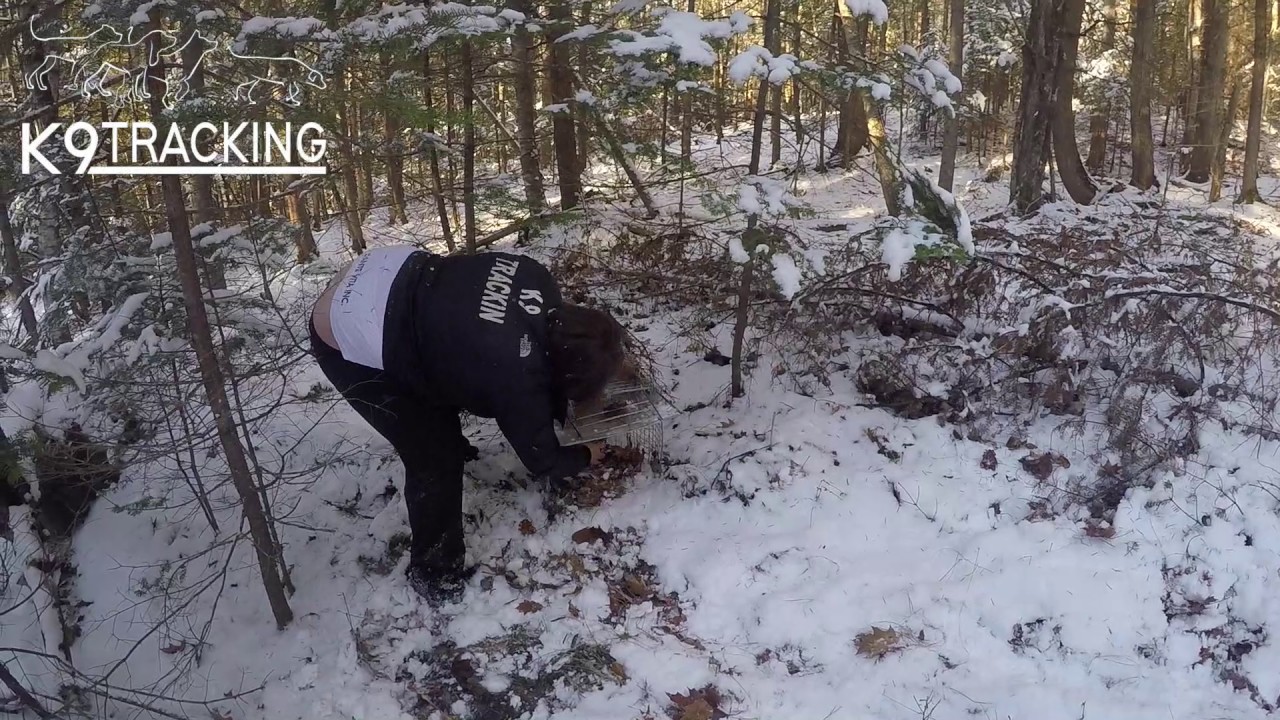 How to Set Up a Trap - YouTube