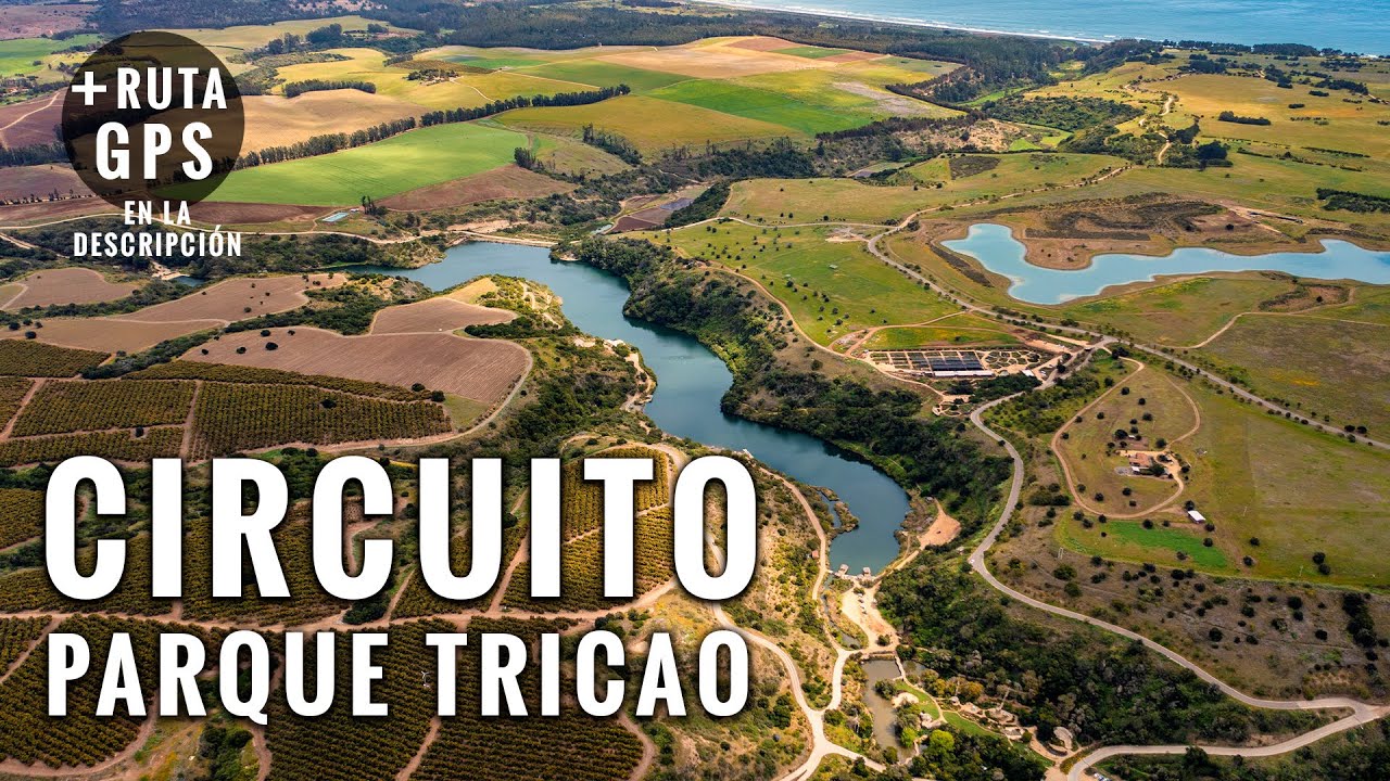 Circuito Parque Tricao: Trekking 7 kms 🇨🇱 - YouTube