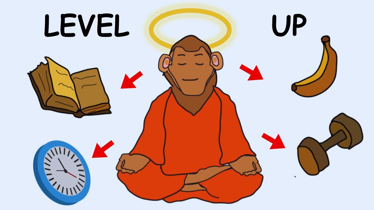 The EASIEST Daily Routine for Self Improvement Explained Using Monkeys ...