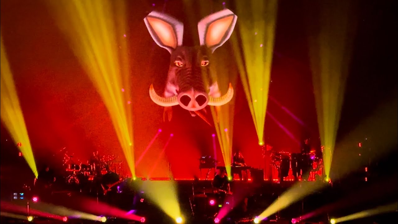 Brit Floyd - Pigs, Atlanta, 4 June 2023. Front row, lower balcony ...