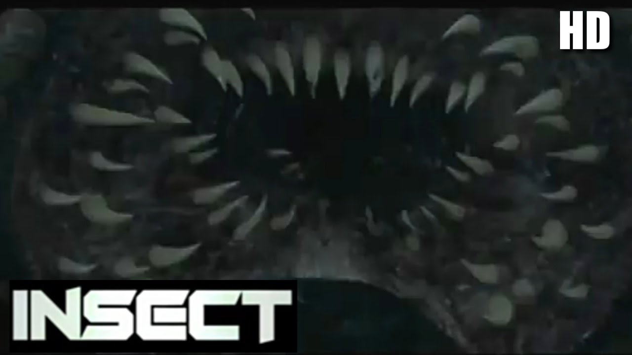 Insect Official Trailer 2021 Horor Movie HD - YouTube