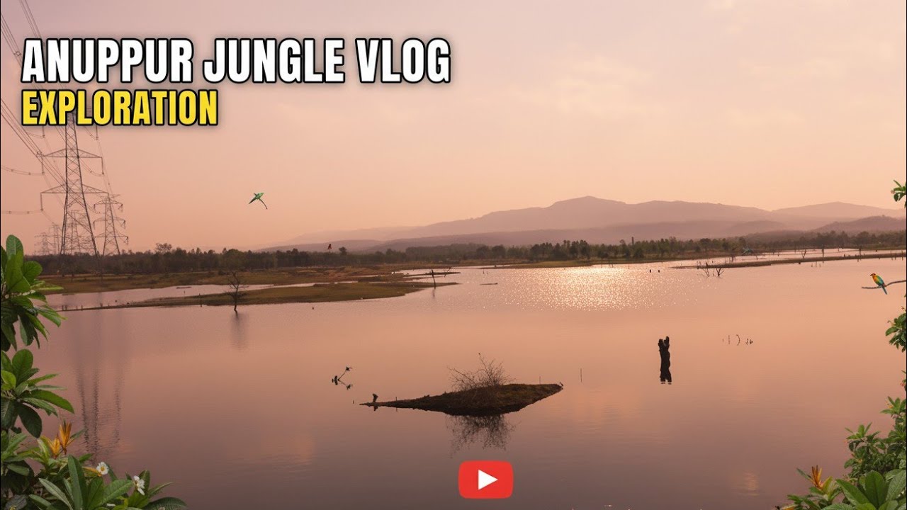 anuppur village vlog || anuppur Moto vlog | anuppur village video ...