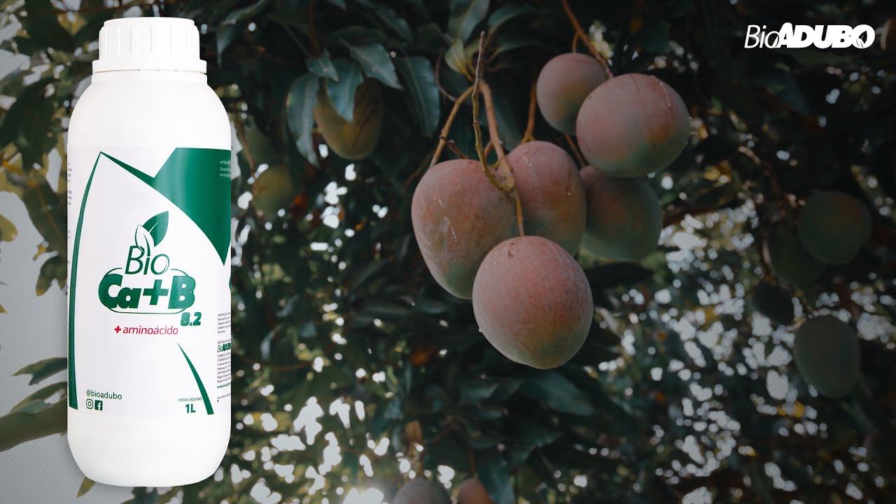 BioCa+B 8.2 1L - YouTube
