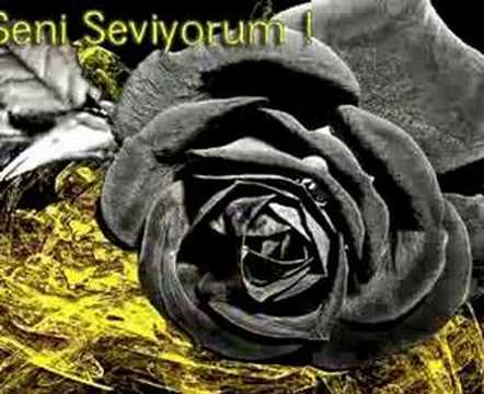 ahmet kaya