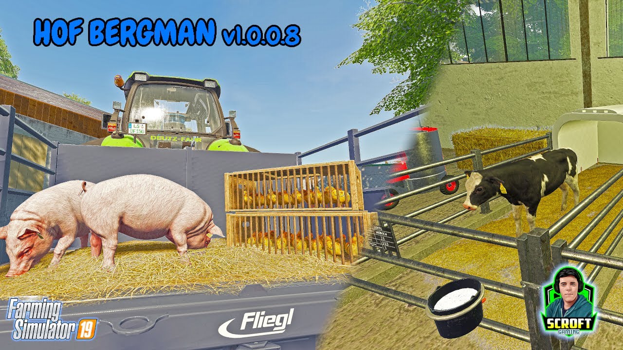 Piglets, Calves & Chicks | FS19 | Hof Bergmann(1.0.0.8) Ep.7 🐂 - YouTube