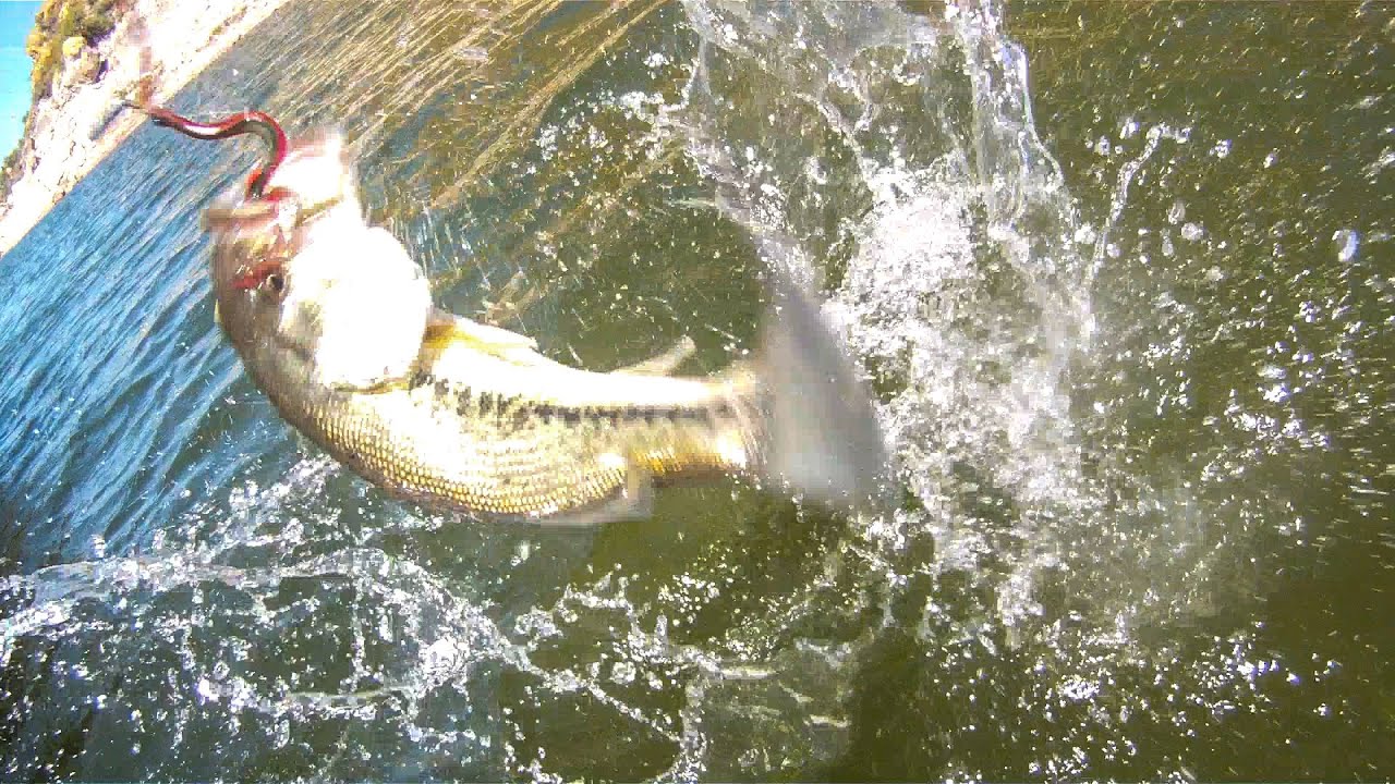 Master the Japanese Flick Shake Technique with Gary Senft | Bartlett ...