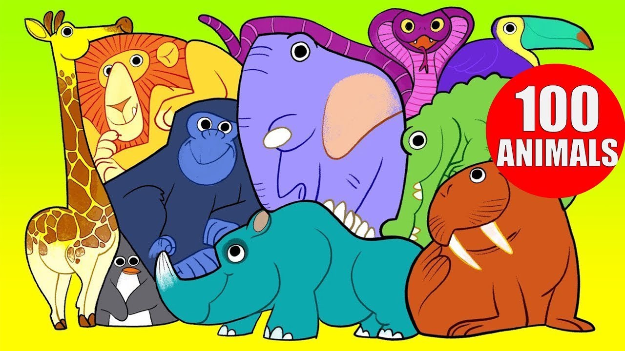 Discover 100 Animals with Kidi Venture! 🐾 Fun Learning Adventure - YouTube