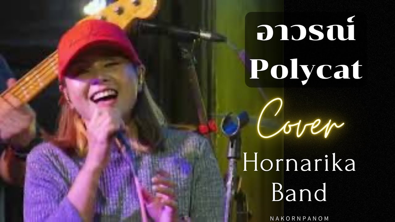 อาวรณ์ - Polycat | (Cover) Hornarika Band Live@safehousehornarika2177 ...
