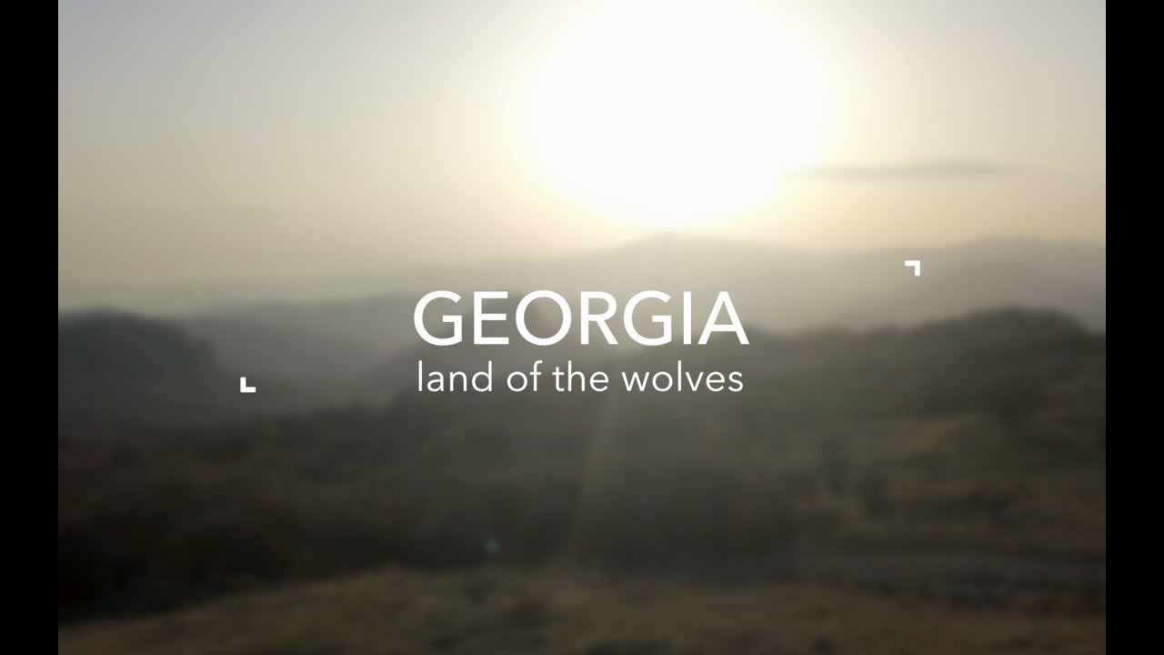 Georgia - land of the wolves - YouTube