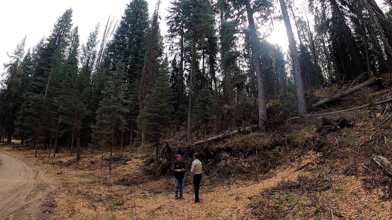 Cascade Ranger District has an offer you can't refuse - YouTube