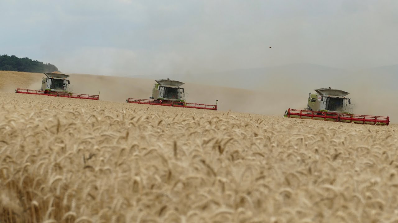 EXTREME SLOVAKIA HARVEST 2018 - DONAU FARM - 3x Claas Lexion, 7x John ...
