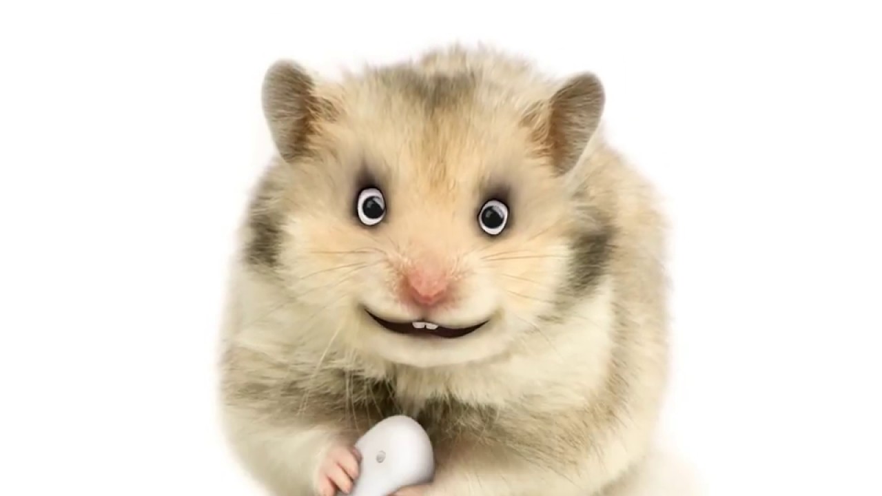 Hamster Poetry - YouTube