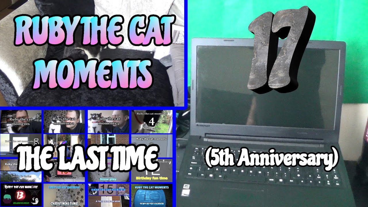 Ruby The Cat Moments 17: The Last Time - YouTube