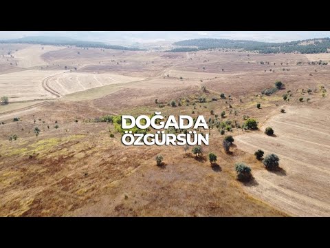 Doğada Özgürsün 8. Bölüm / Marmara Çulluk Avı 4