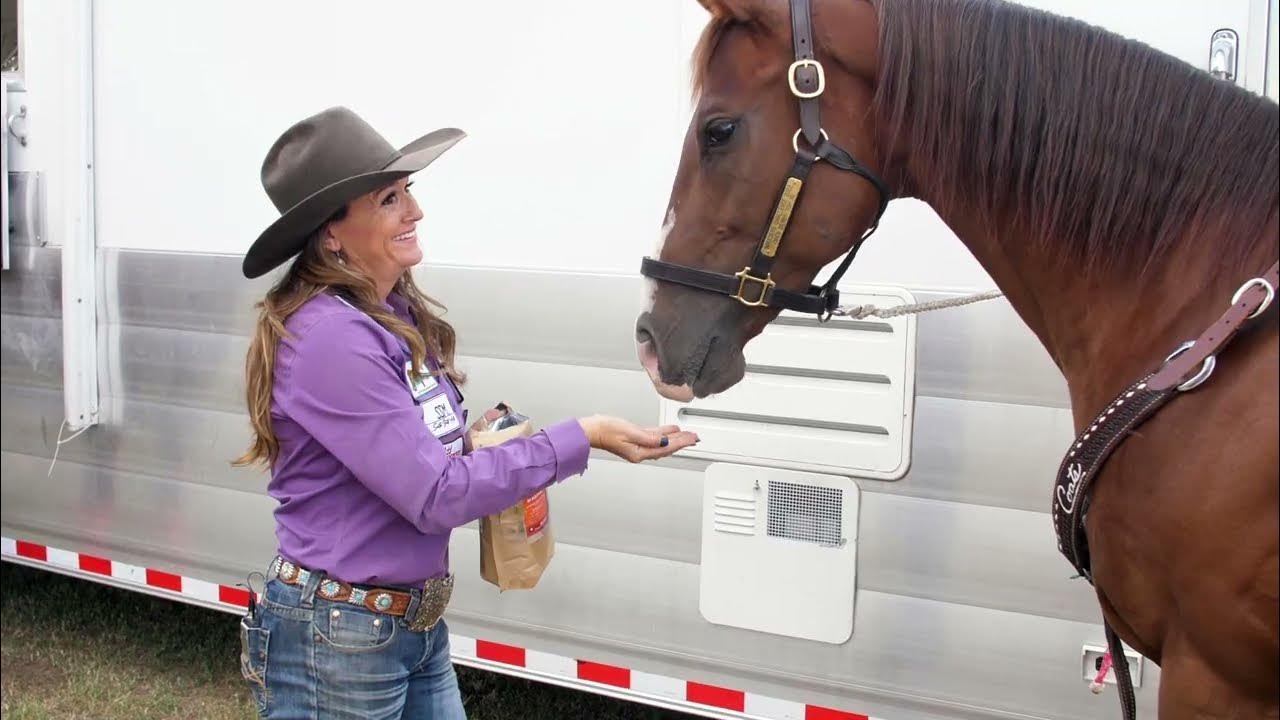 Keeping Barrel Horses at Their Best | Stephanie Fryar x FullBucket Health - YouTube