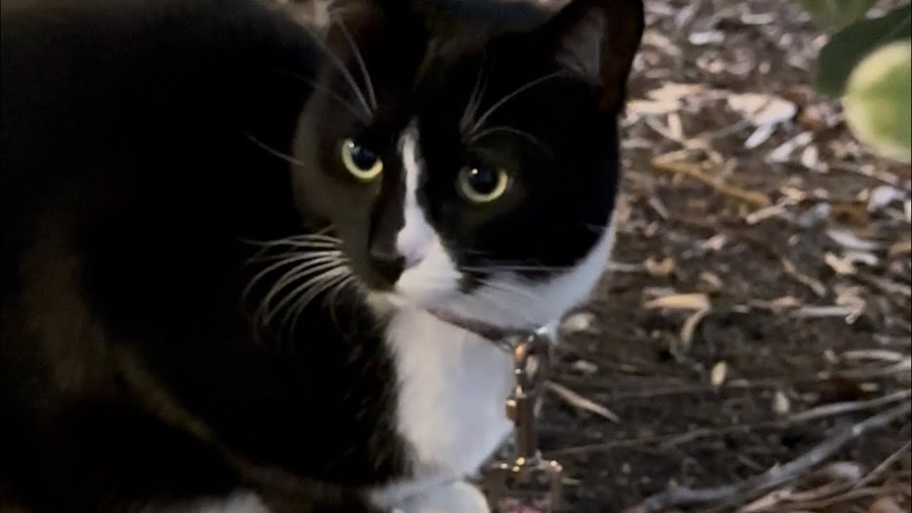 Quick outing with Teena - YouTube