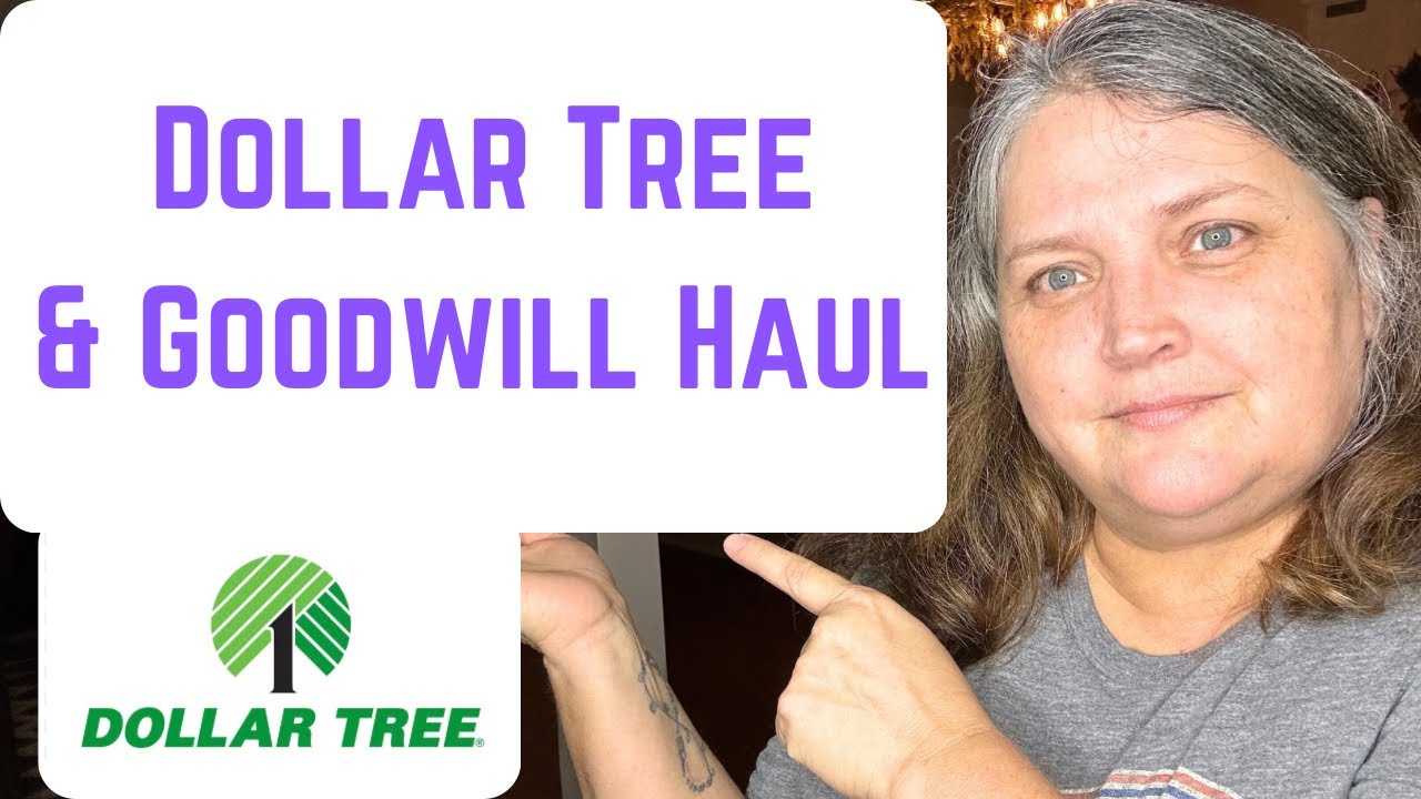 My Dollar Tree/Goodwill Trip &Haul plus a Dollar Tree project. - YouTube