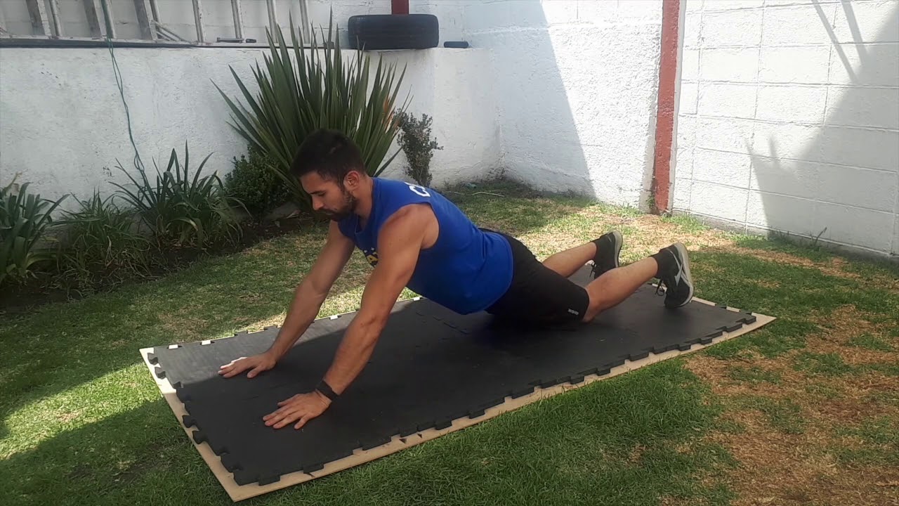 Plank Tricep Extensions - YouTube