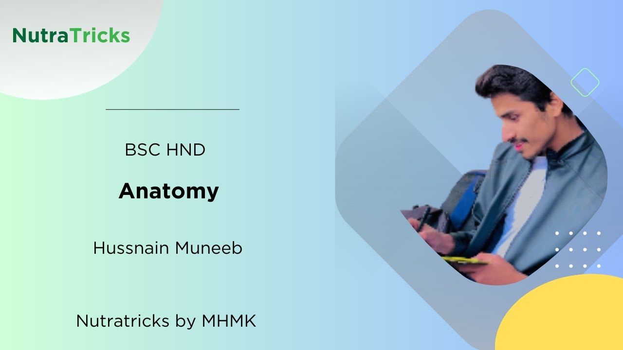 Epithelium and Its Types | Anatomy | Hussnain Muneeb - YouTube