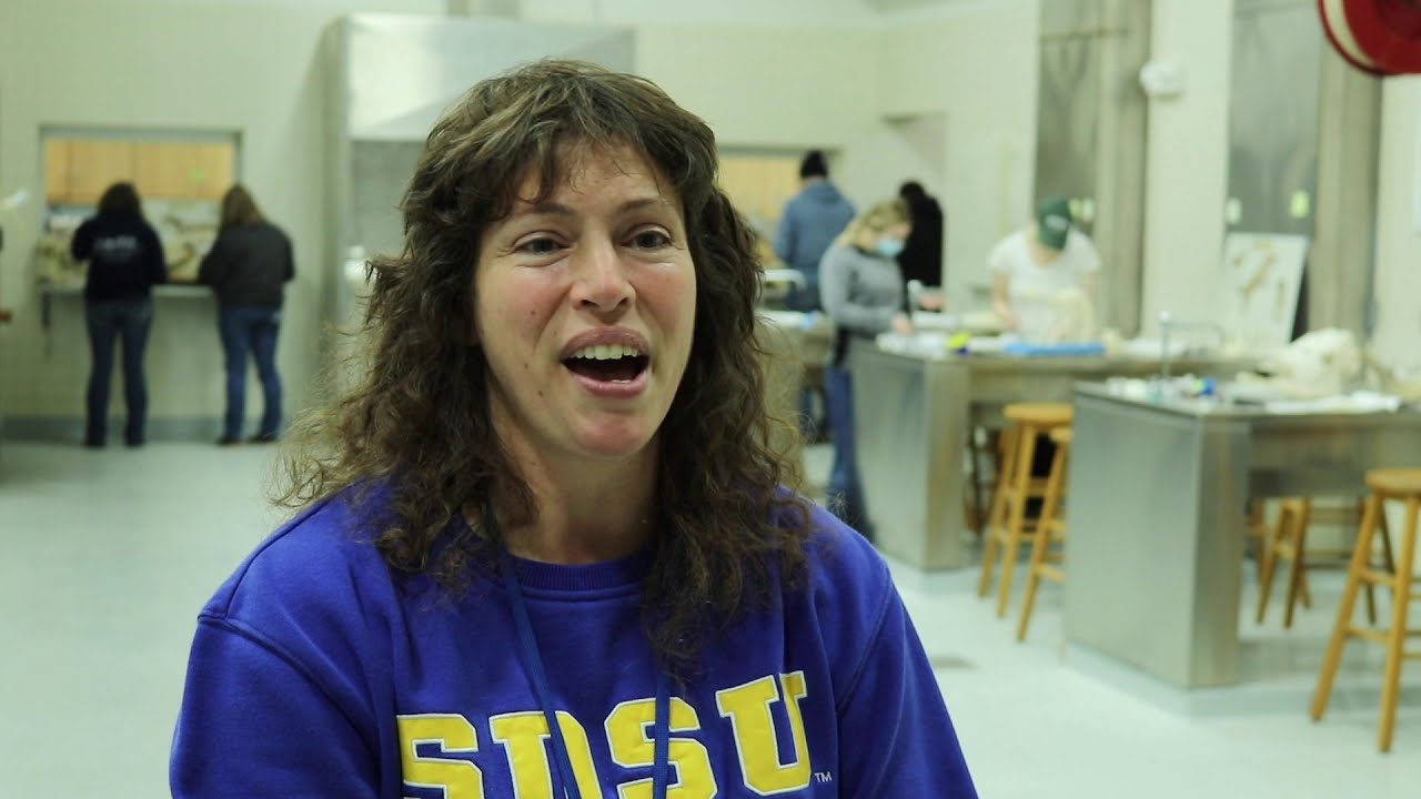 Welcome to the Professional Program in Veterinary Medicine - YouTube