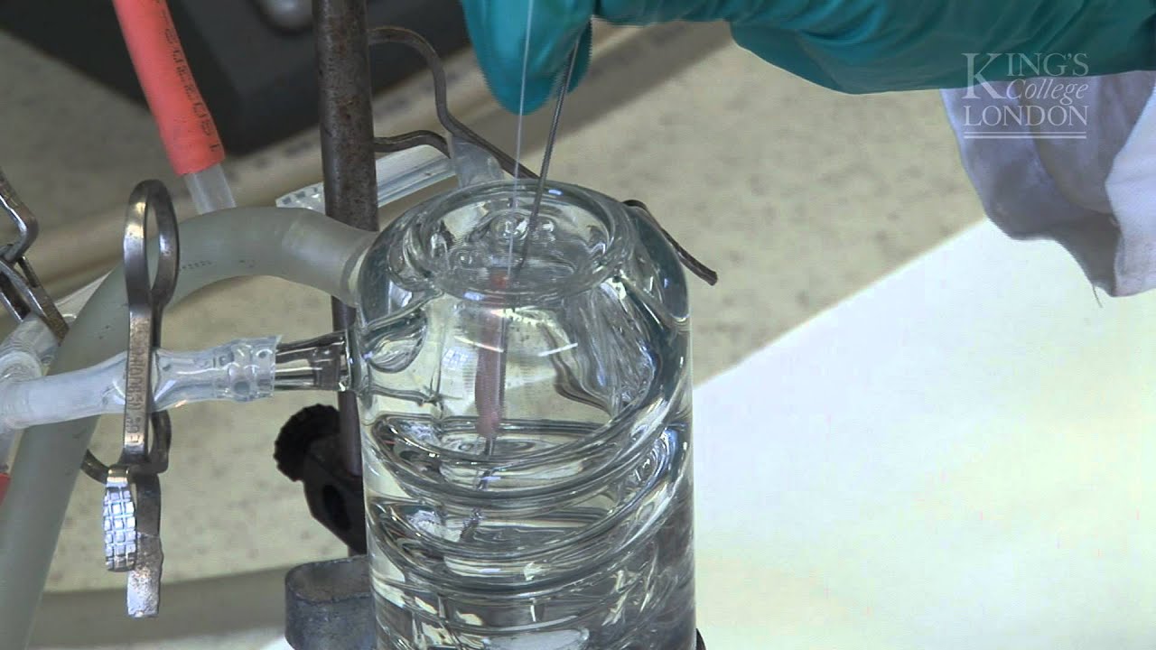 King's College London Organ Bath Pharmacology (BSc Pharmacology) - YouTube